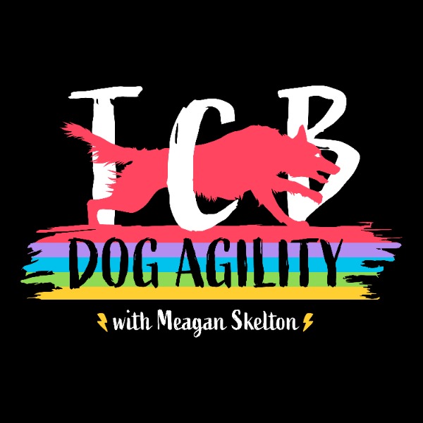 Wednesdays in Mooresville - TCB Agility with Meagan Skelton